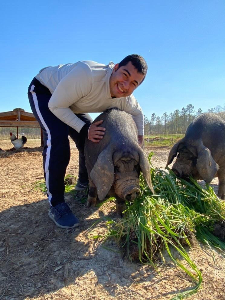 Home Page - Oke Farm